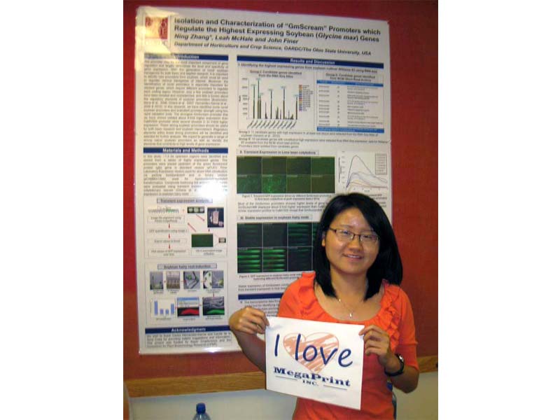 Scientific Research Poster Examples